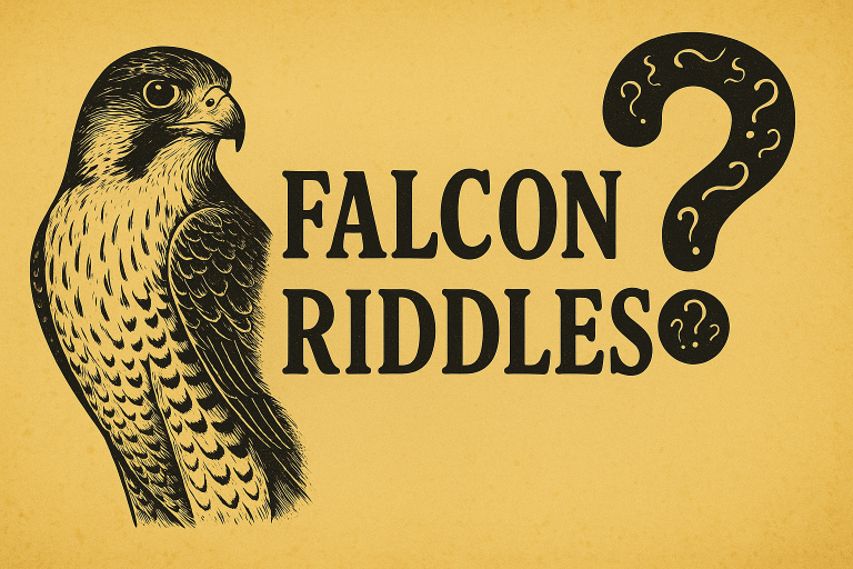 Falcon Riddles - Riddle Spot